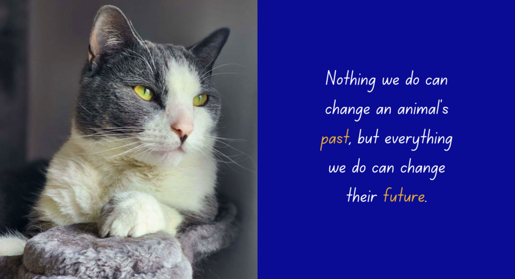 Forget Me Not Animal Rescue of Will County