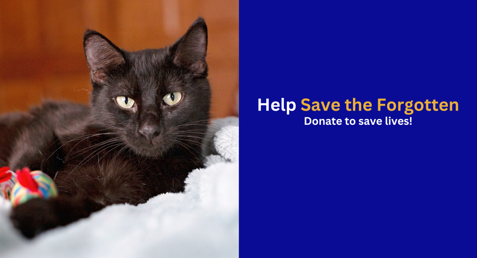 Forget Me Not Animal Rescue of Will County